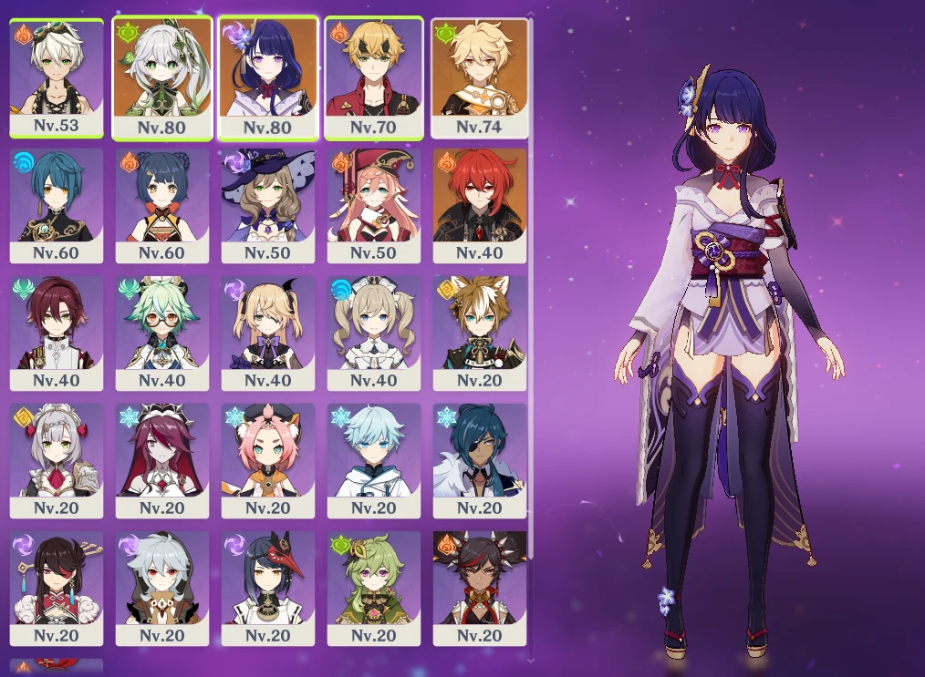 Raiden - Nahida - Ar 43 - Genshin Impact - DFG