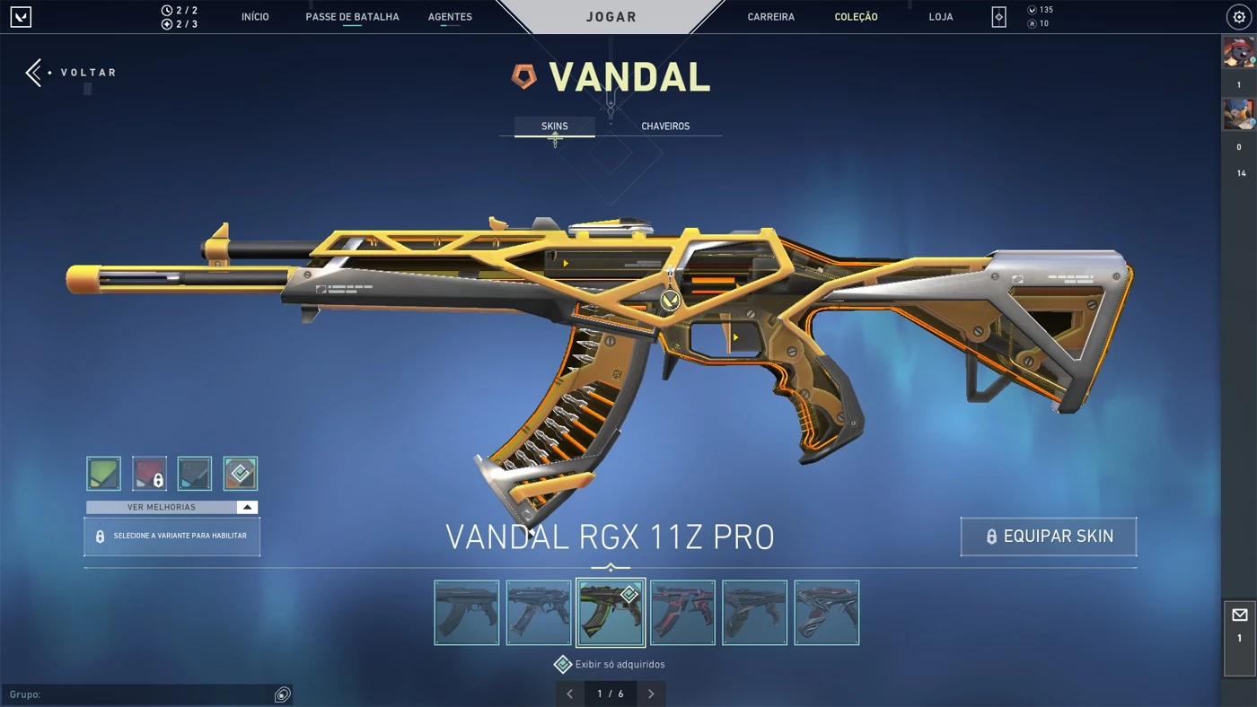 Conta Valorant Vandal Rgx, Vandal Saqueadora, Butterfly Rgx - DFG