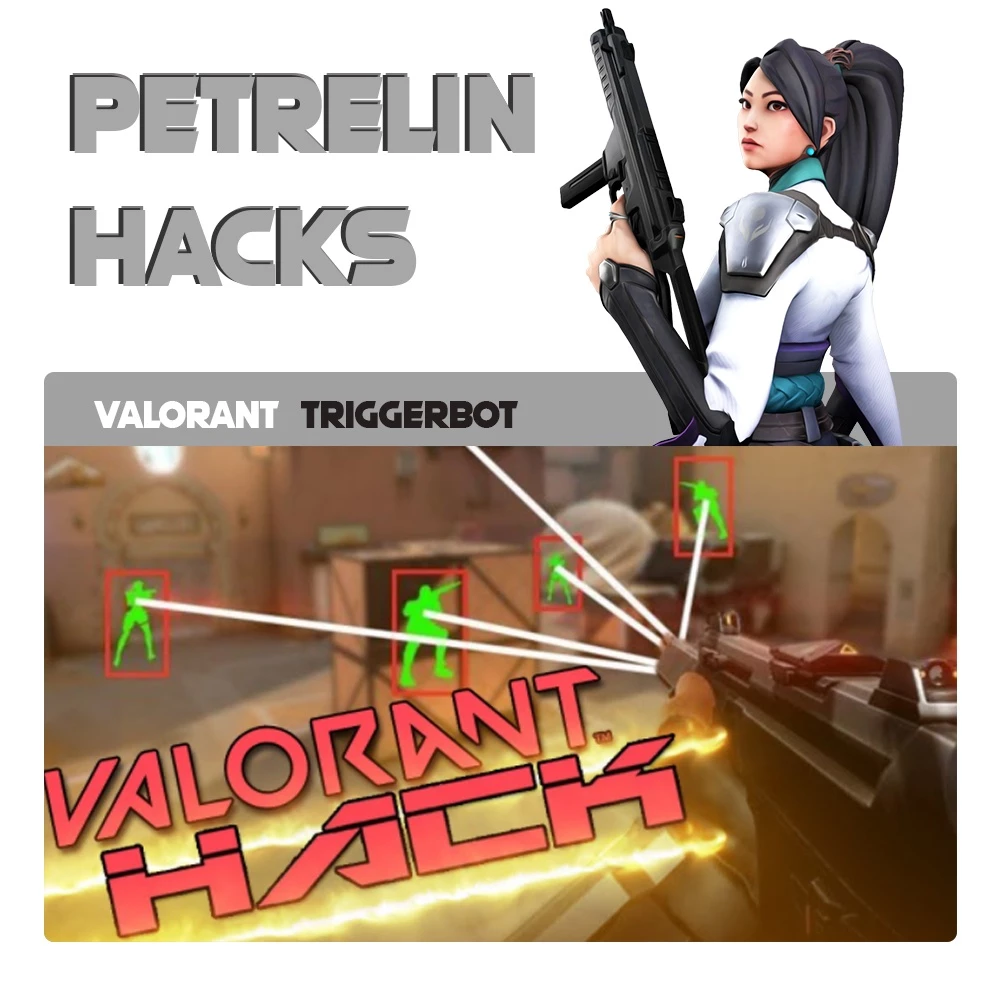 Valorant Triggerbot (Indetectável) 2 Pelo Preço De 1. - DFG