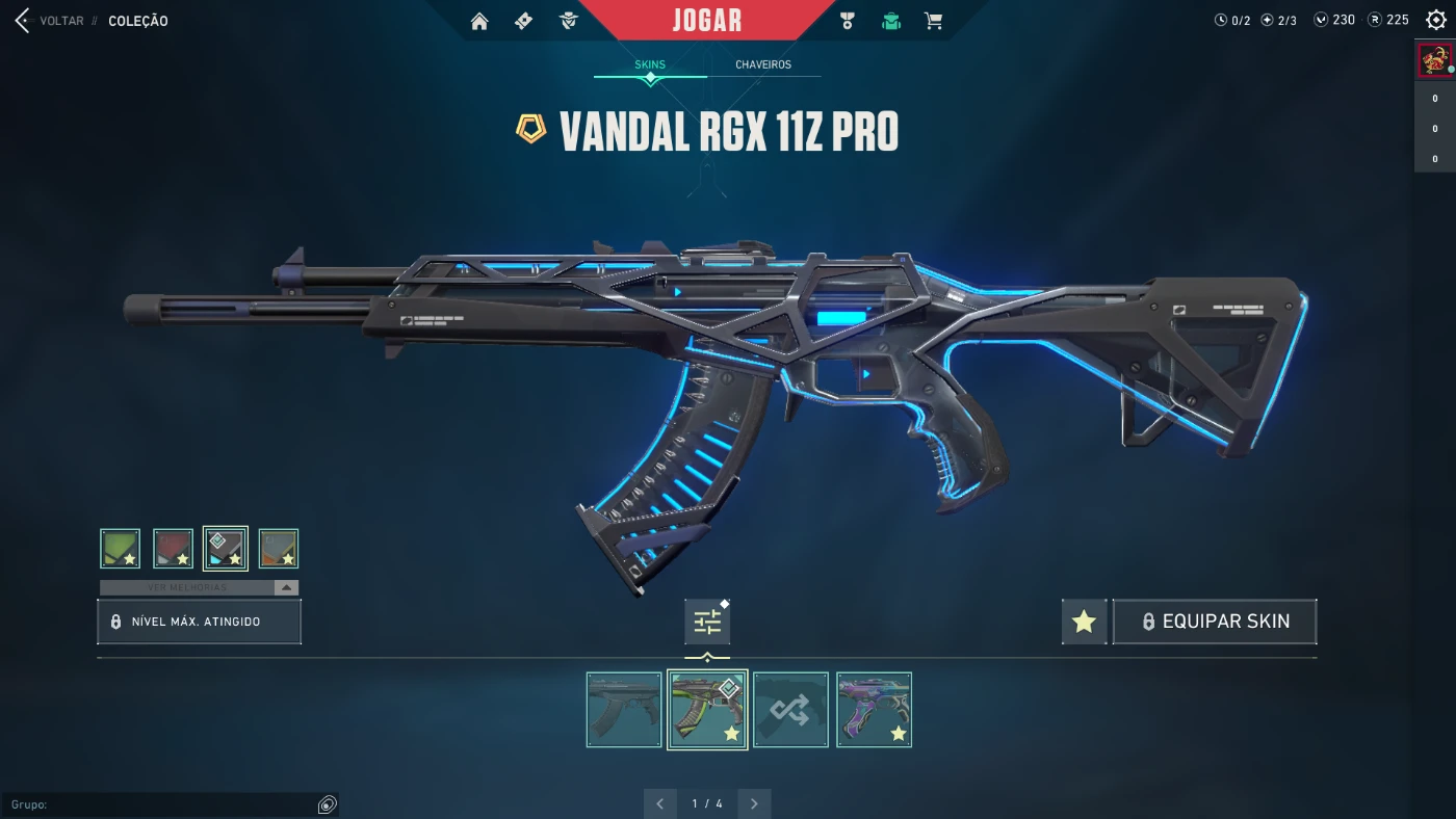 Conta Valorant - Vandal Rgx, Faca Xenocaçador E Muito Mais - DFG