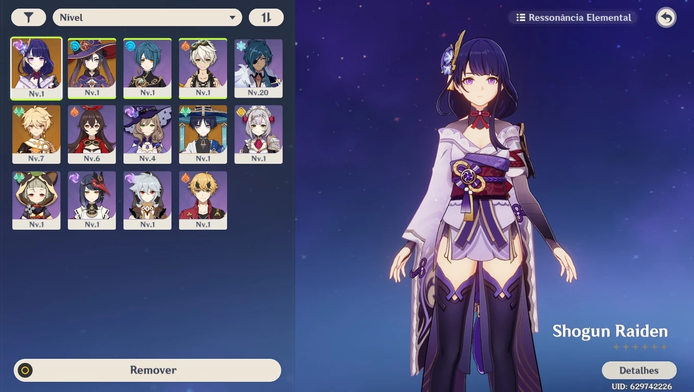 Raiden, Mona E Andarilho - Genshin Impact - DFG