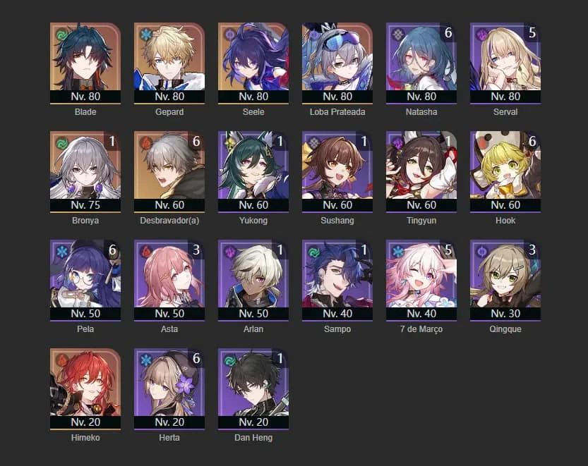 Honkai Star Rail Ar 64, Seele + Cone, Silver Wolf. - Outros - DFG