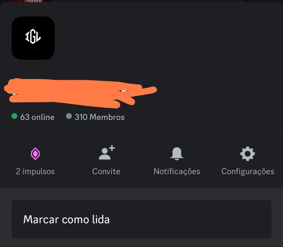 Servidor Discord 300 Membros - Redes Sociais - DFG