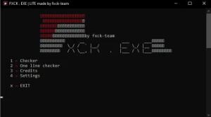 Checker De Conta Valorant - DFG
