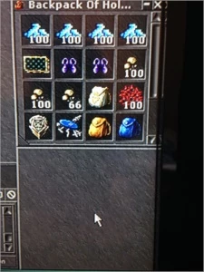 Char Tibia 316 Paladin - DFG