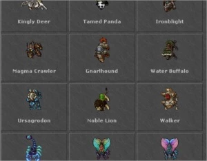 Royal Paladin - Tibia - DFG