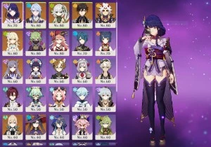 Raiden - Nahida - Zhongli - Ar 55 - Genshin Impact - DFG