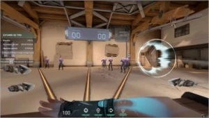 Aim Bot Valorant - DFG