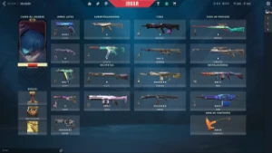 Conta Valorant Full Acesso - DFG