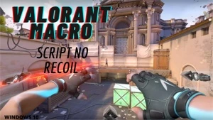 Valorant Macro No Recoil - DFG