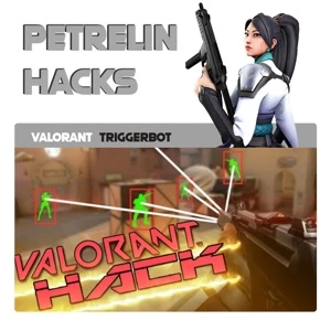 Valorant Triggerbot (Indetectável) 2 Pelo Preço De 1. - DFG