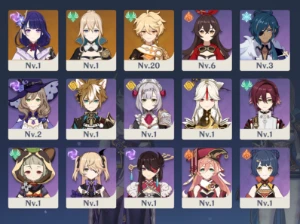 Ar10 Shogun Raiden + Jean - Genshin Impact - DFG