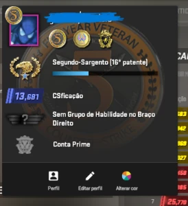 Conta Cs2 Prime - 3 Medalha - 14K Pontos - Steam - DFG
