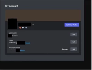 Conta Discord Com Apoiador Inicial (Early Supporter - Pig) - Social ...