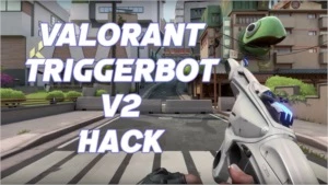 Valorant Triggerbot (Indetectável) - DFG